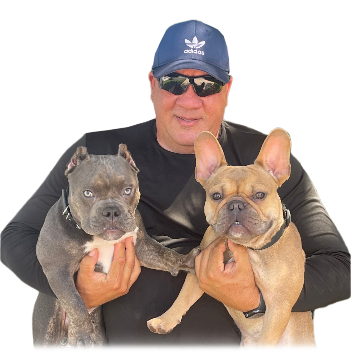 W&M Happy Dogs – Best Dog Training in Miami-Dade, Broward and Monroe County